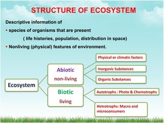 Ecosystem | PDF