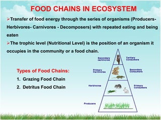 Ecosystem | PDF