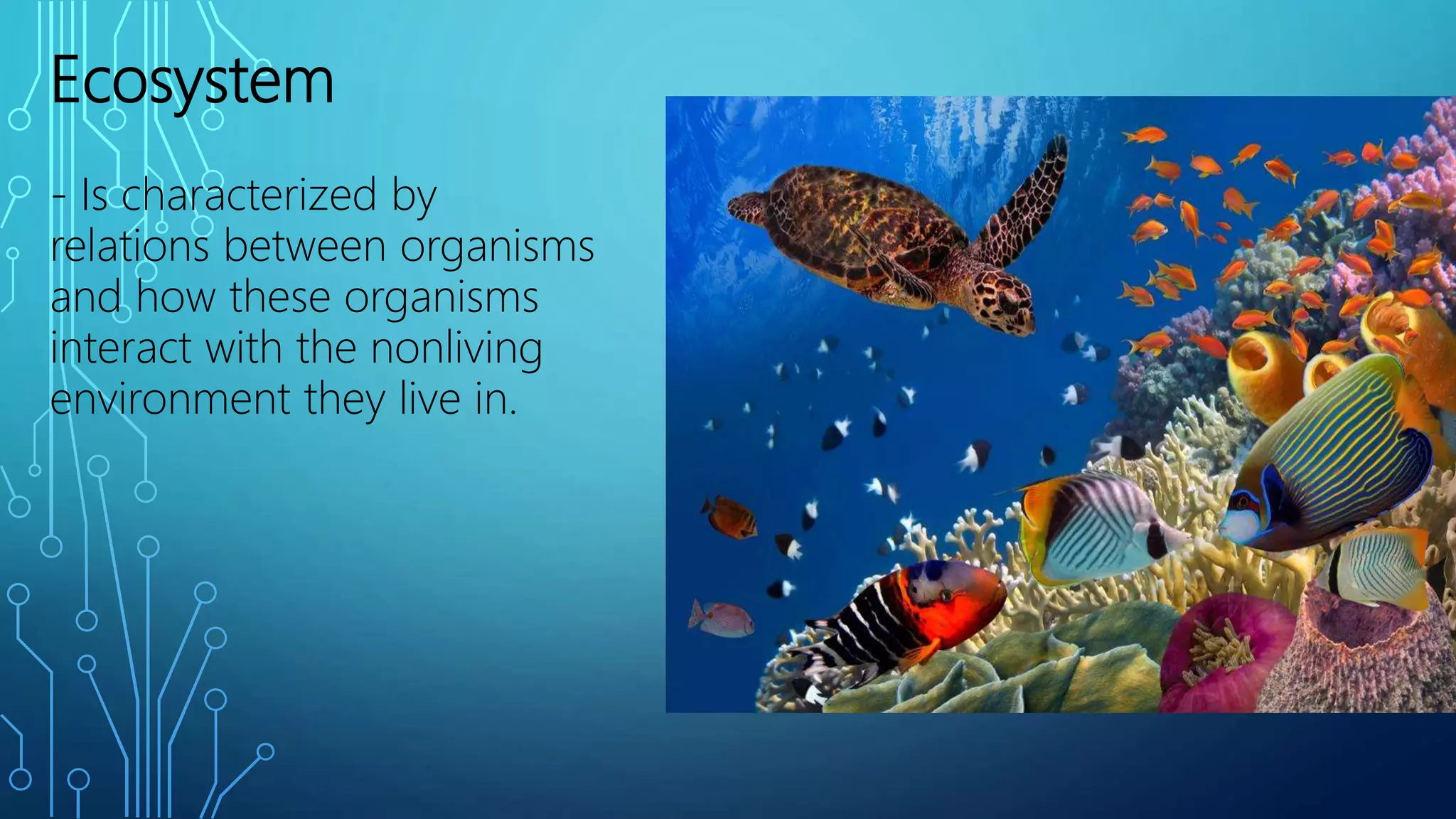 Ecosystem | PPT