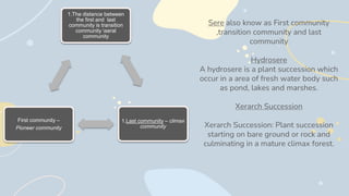 Ecosystem – Biomass, Succession | PPTX