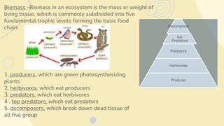 Ecosystem – Biomass, Succession | PPTX