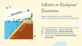 Ecosystem – Biomass, Succession | PPTX