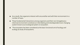 Eco system | PPT