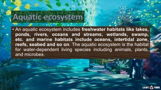 ecosystem.pptx