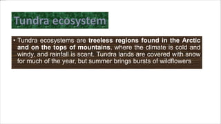 ecosystem.pptx