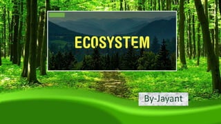 ecosystem.pptx