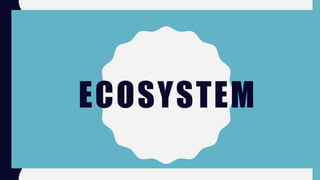 ECO System.pptx