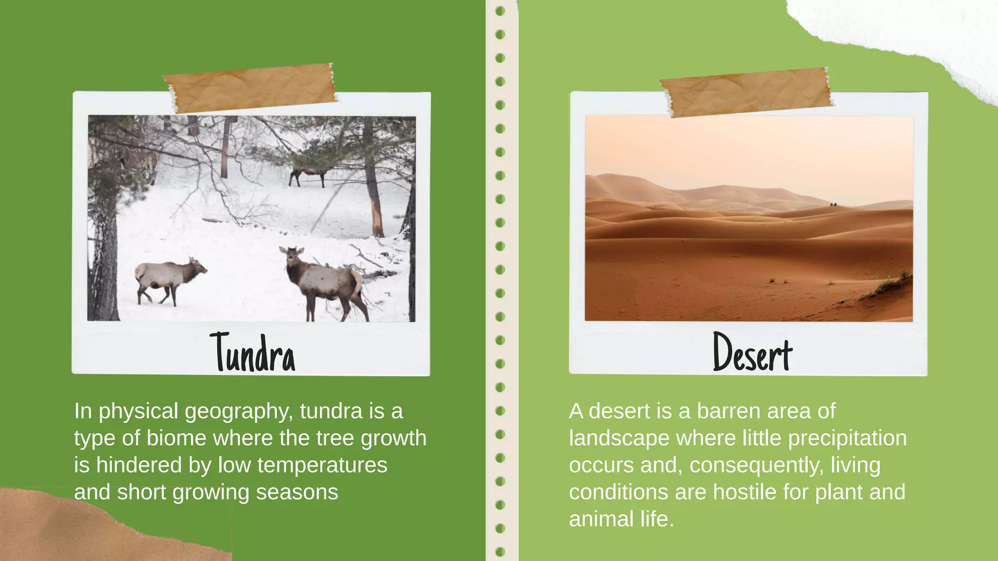 Ecosystem Pptx Geography Science