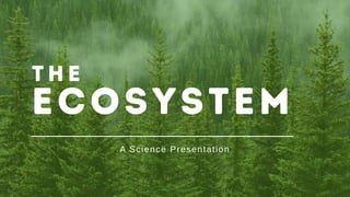 Ecosystem.pptx