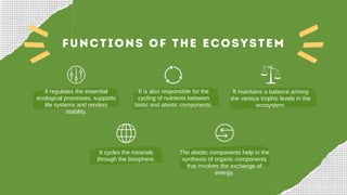 Ecosystem.pptx