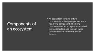 ECOSYSTEM.pptx