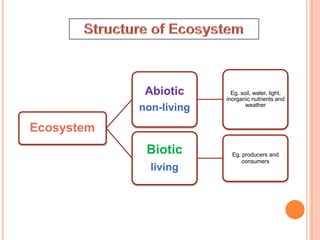 ecosystem.pptx | Geology | Science