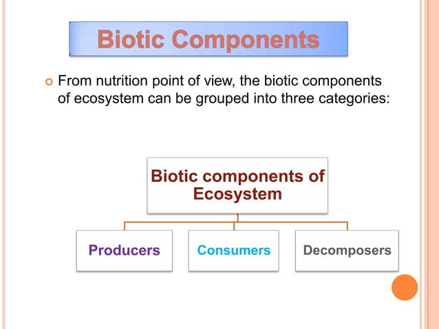 Ecosystem Pptx Geology Science