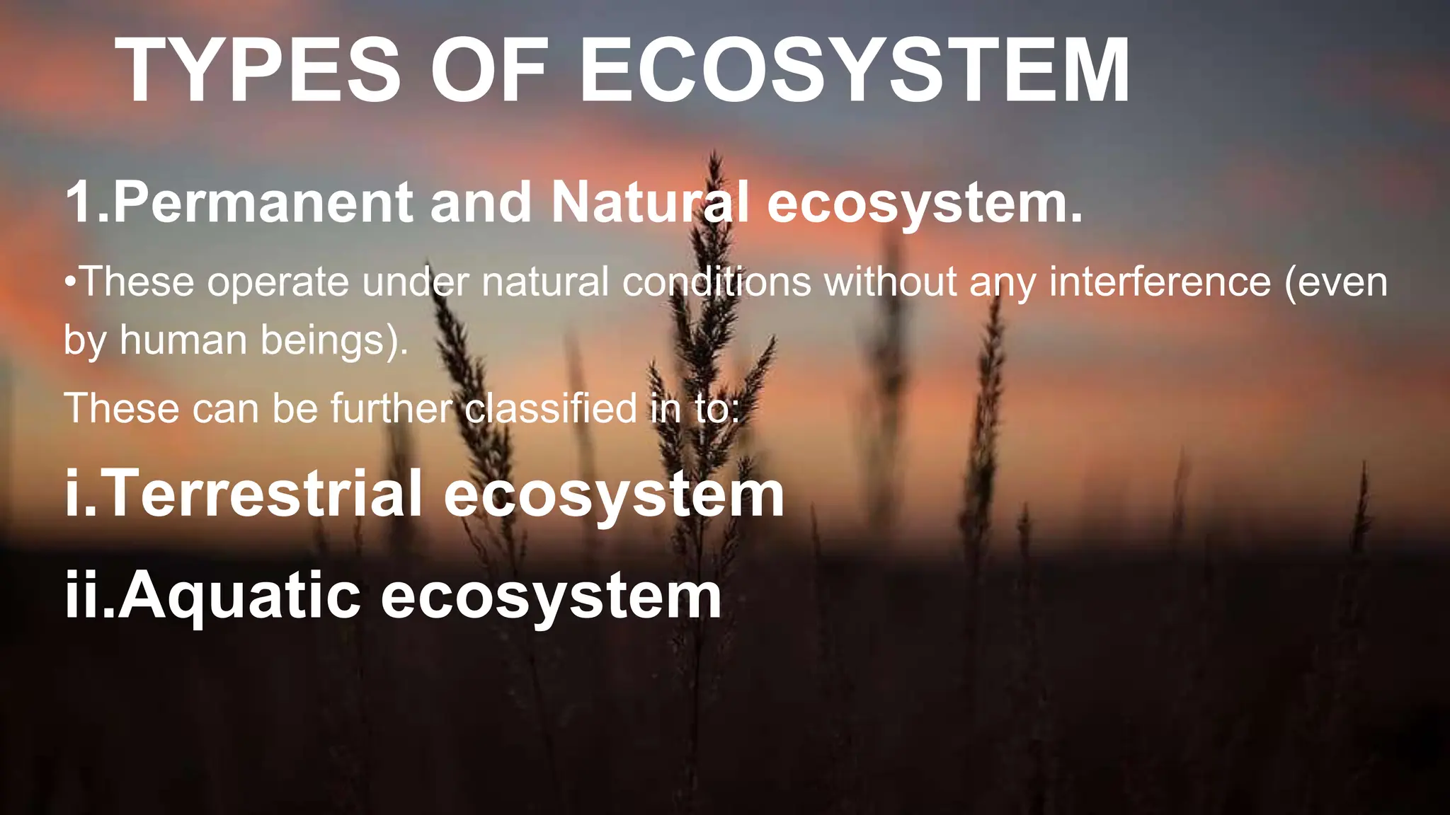 ECOSYSTEM,ENVIRONMENT,FOOD CHAIN,FOOD WEB | PPTX