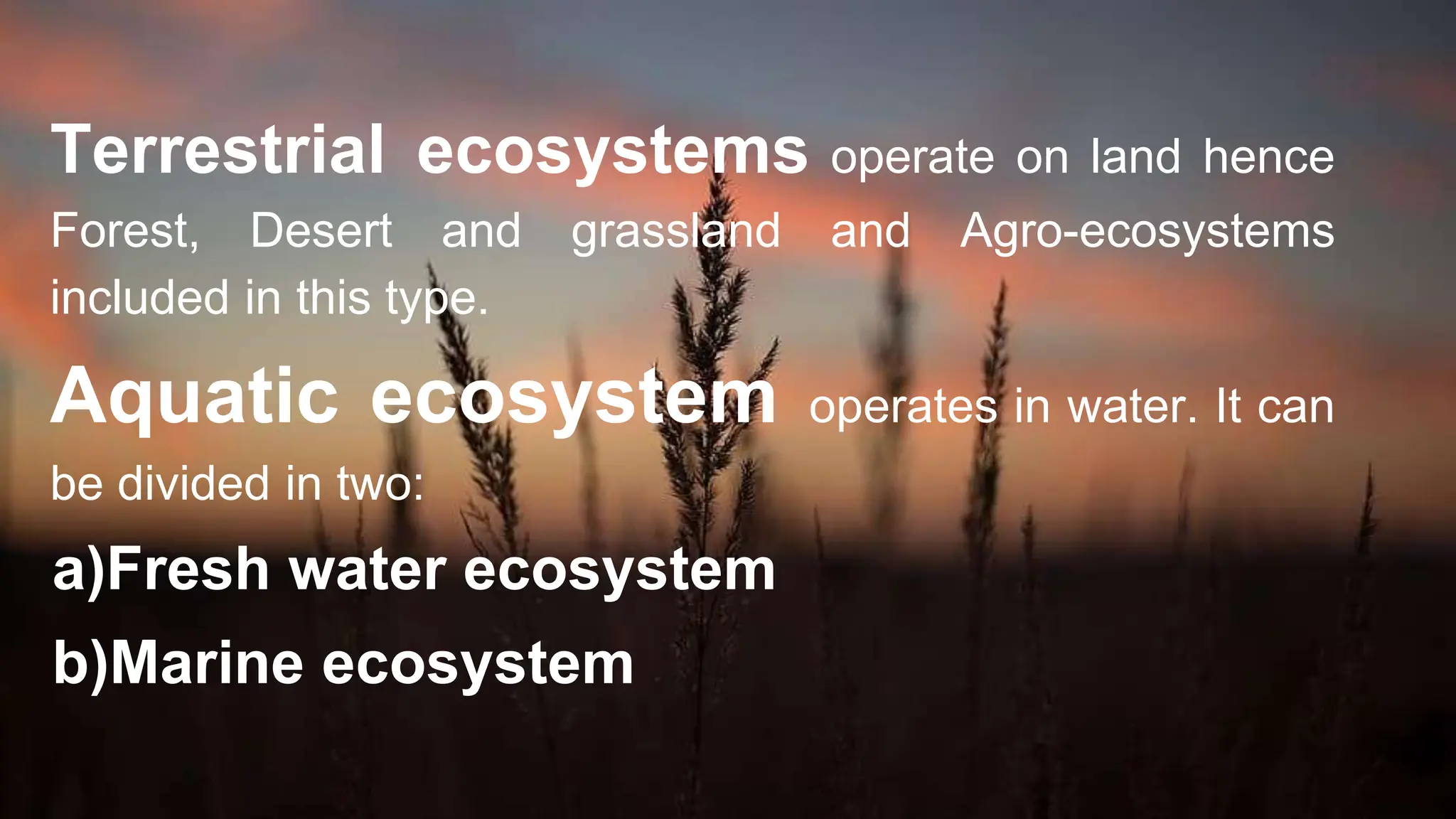 ECOSYSTEM,ENVIRONMENT,FOOD CHAIN,FOOD WEB | PPTX