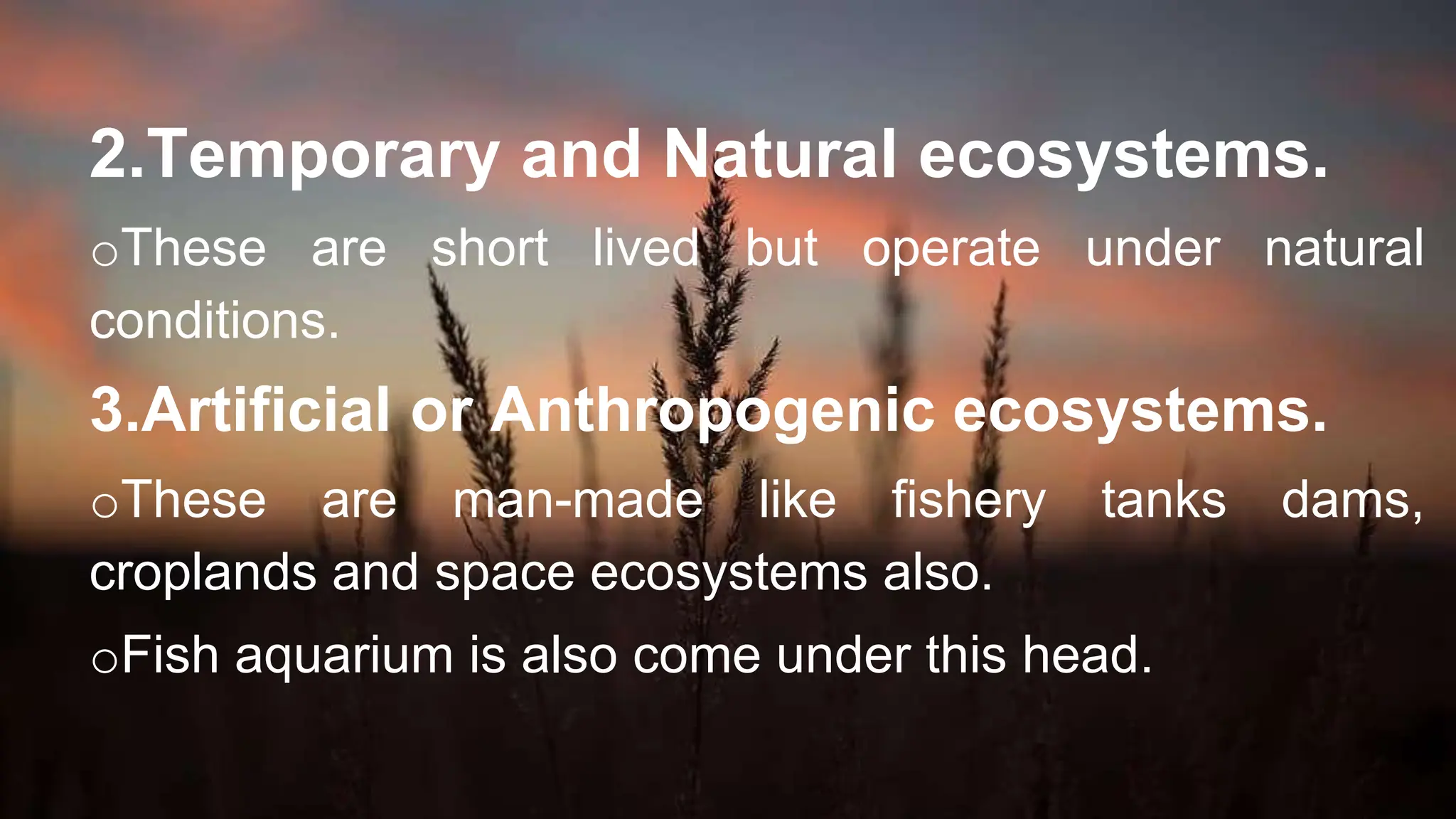 ECOSYSTEM,ENVIRONMENT,FOOD CHAIN,FOOD WEB | PPTX