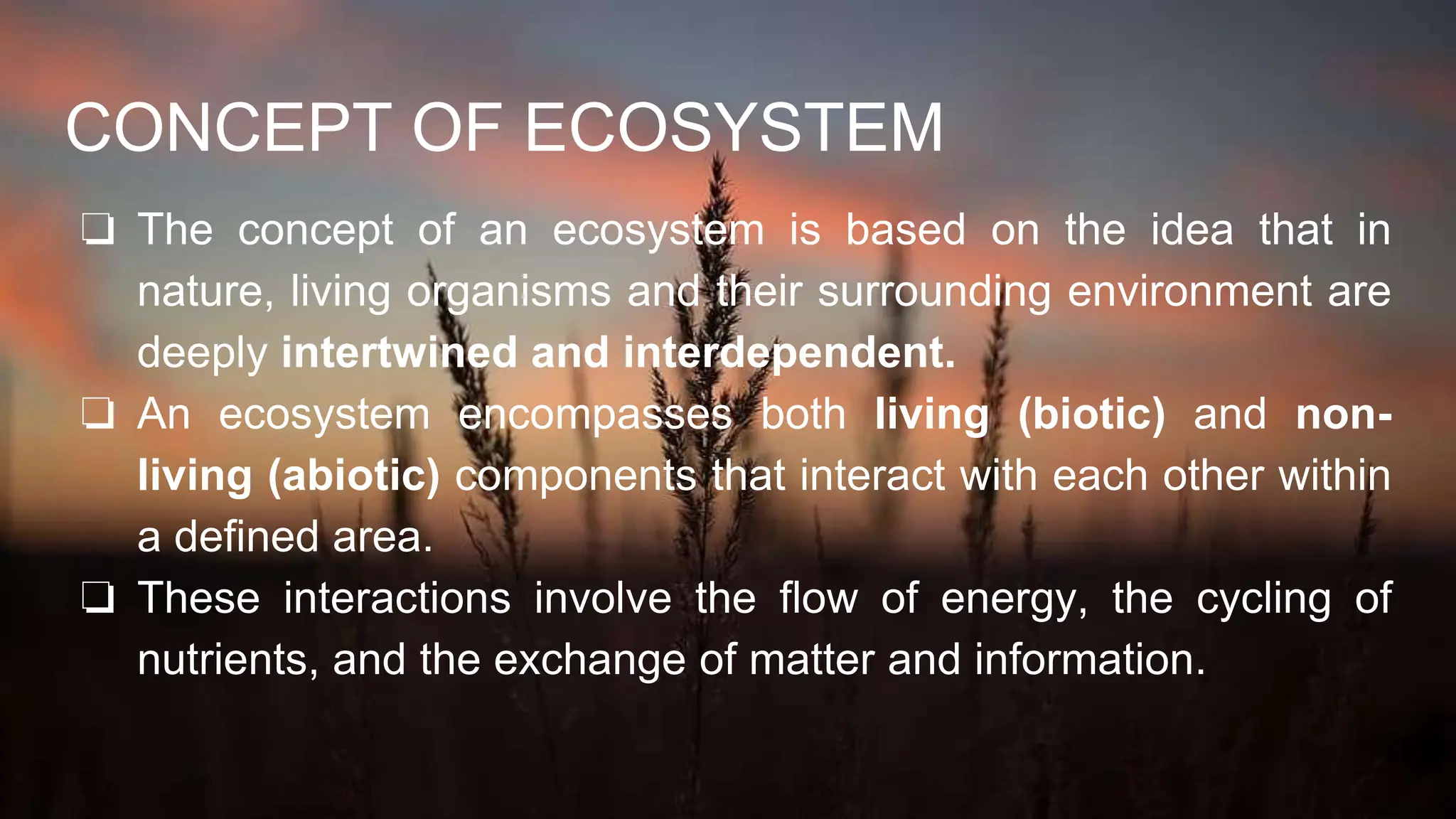 ECOSYSTEM,ENVIRONMENT,FOOD CHAIN,FOOD WEB | PPTX