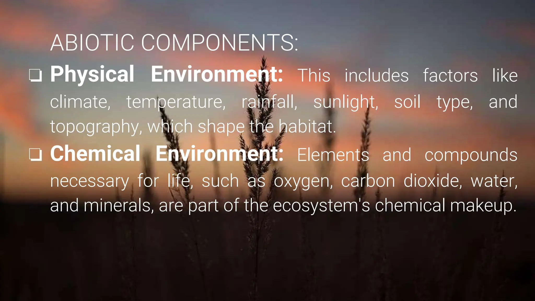 ECOSYSTEM,ENVIRONMENT,FOOD CHAIN,FOOD WEB | PPTX