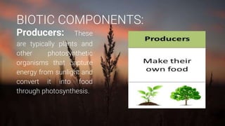 ECOSYSTEM,ENVIRONMENT,FOOD CHAIN,FOOD WEB | PPTX