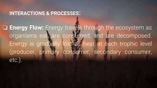 ECOSYSTEM,ENVIRONMENT,FOOD CHAIN,FOOD WEB | PPTX