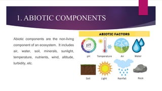 ECOSYSTEM and ertyfghkjgfghjkkjhghjkj.pptx