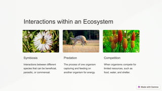 Ecosystem and its effects on human nature | PPTX | Science