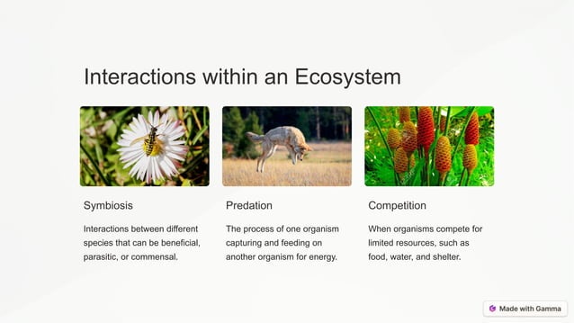 Ecosystem and its effects on human nature | PPTX | Science