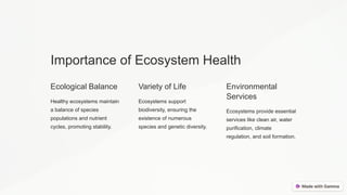 Ecosystem and its effects on human nature | PPTX | Science