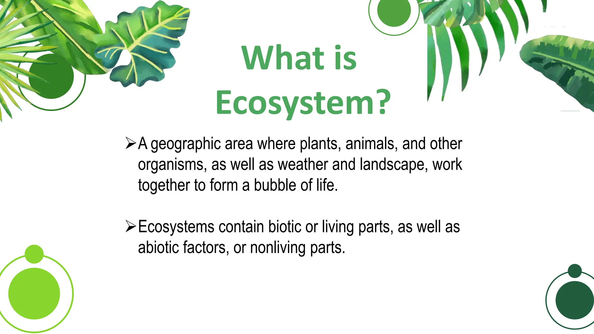 Ecosystem and the environment symbiont relationship | PPT