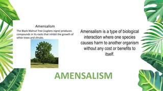 Ecosystem and the environment symbiont relationship | PPT