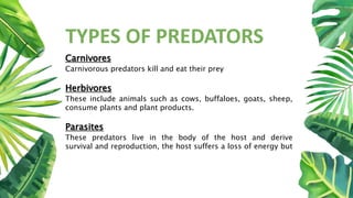 Ecosystem and the environment symbiont relationship | PPT