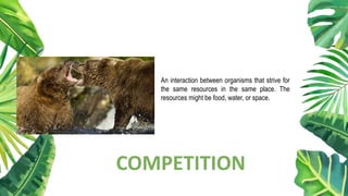 Ecosystem and the environment symbiont relationship | PPT