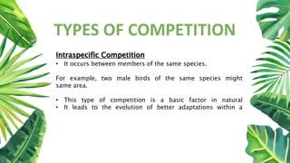 Ecosystem and the environment symbiont relationship | PPT