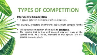 Ecosystem and the environment symbiont relationship | PPT
