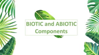 Ecosystem and the environment symbiont relationship | PPT