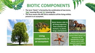 Ecosystem and the environment symbiont relationship | PPT