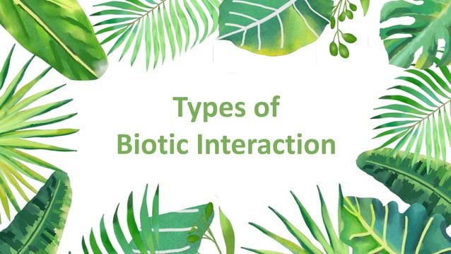 Ecosystem and the environment symbiont relationship | PPT