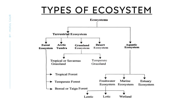 Ecosystem and their types ||Environmental Science||.pdf