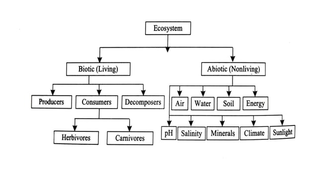 Ecosystem and their types ||Environmental Science||.pdf