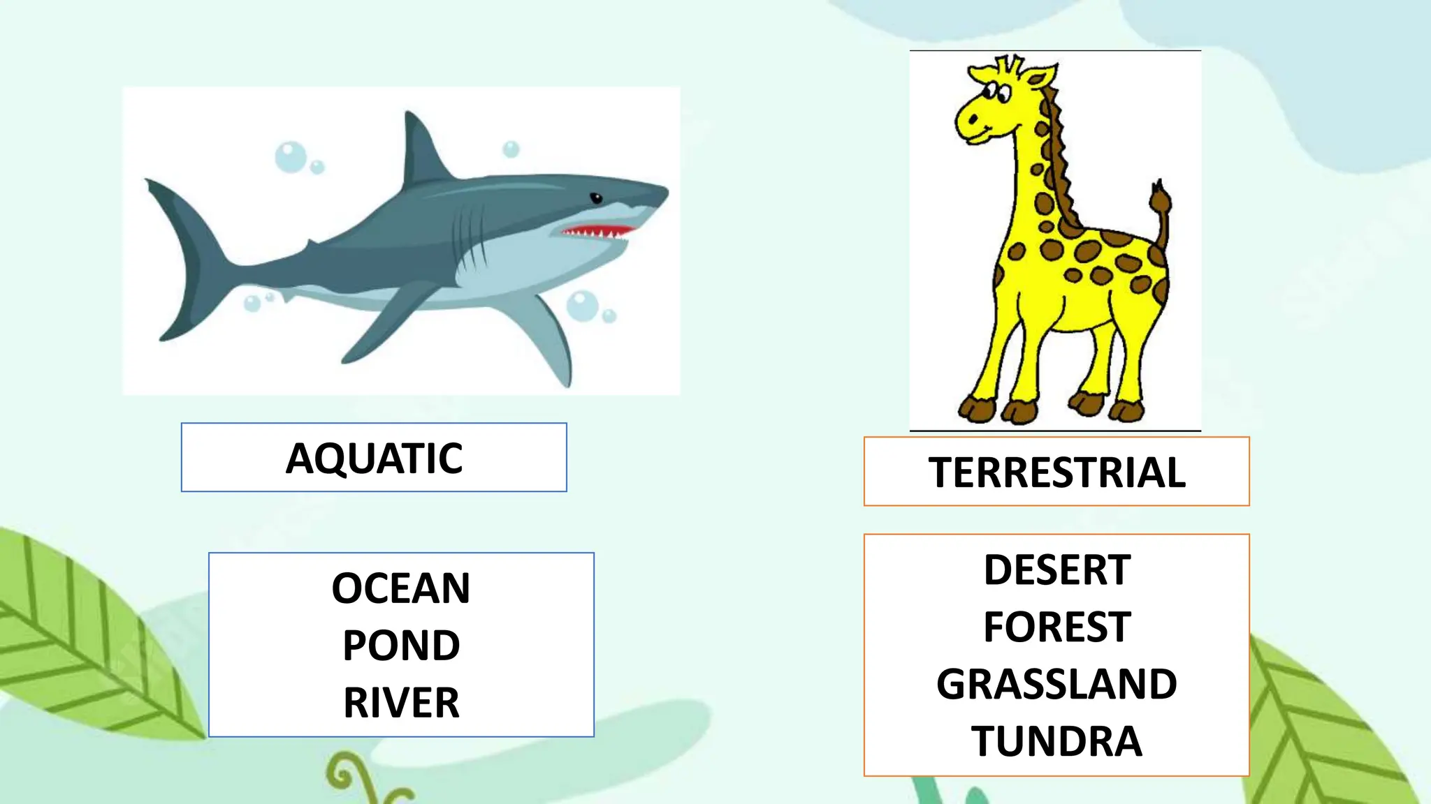 ECOSYSTEM - vocabulary and description.pptx