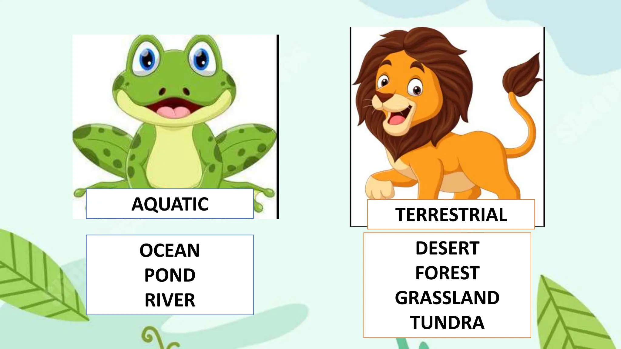 ECOSYSTEM - vocabulary and description.pptx