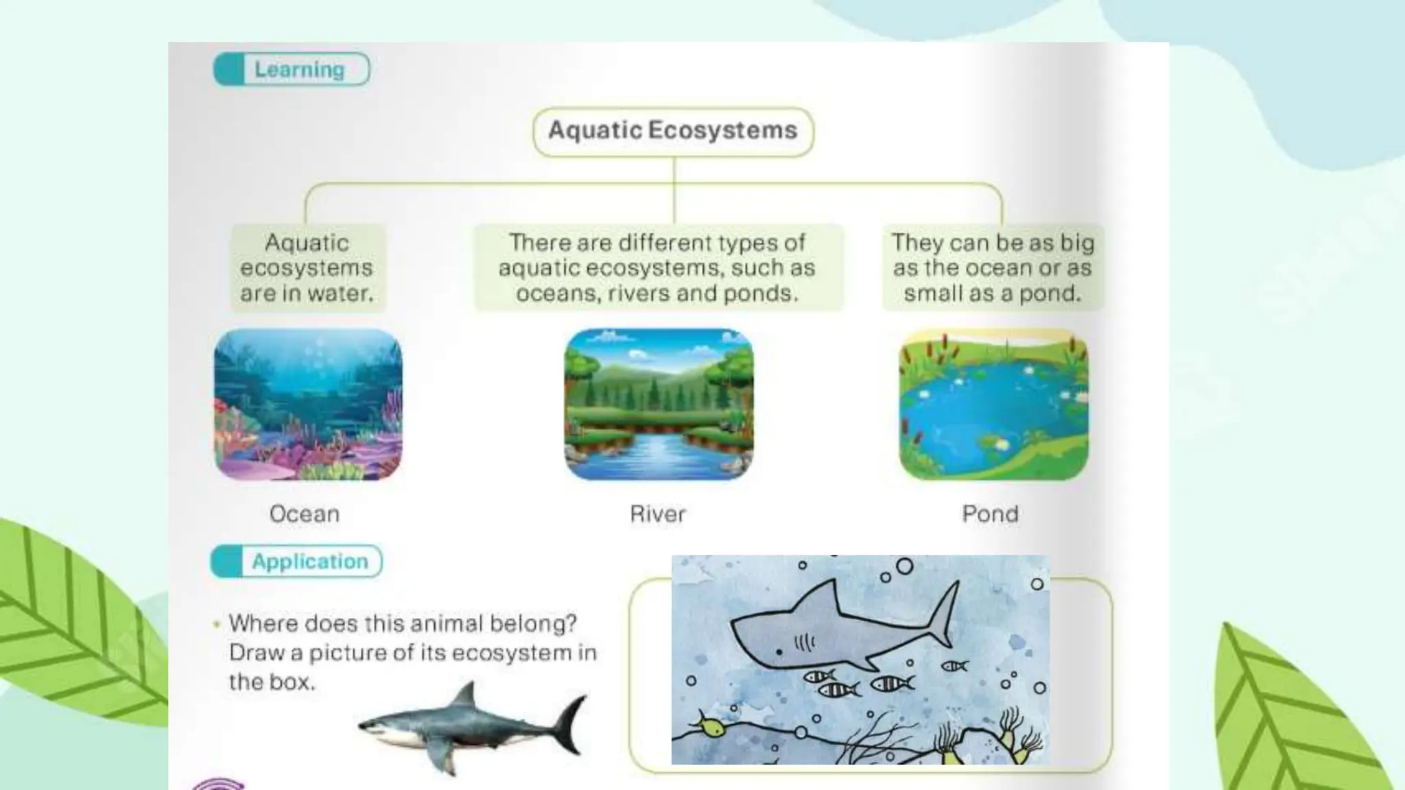 ECOSYSTEM - vocabulary and description.pptx