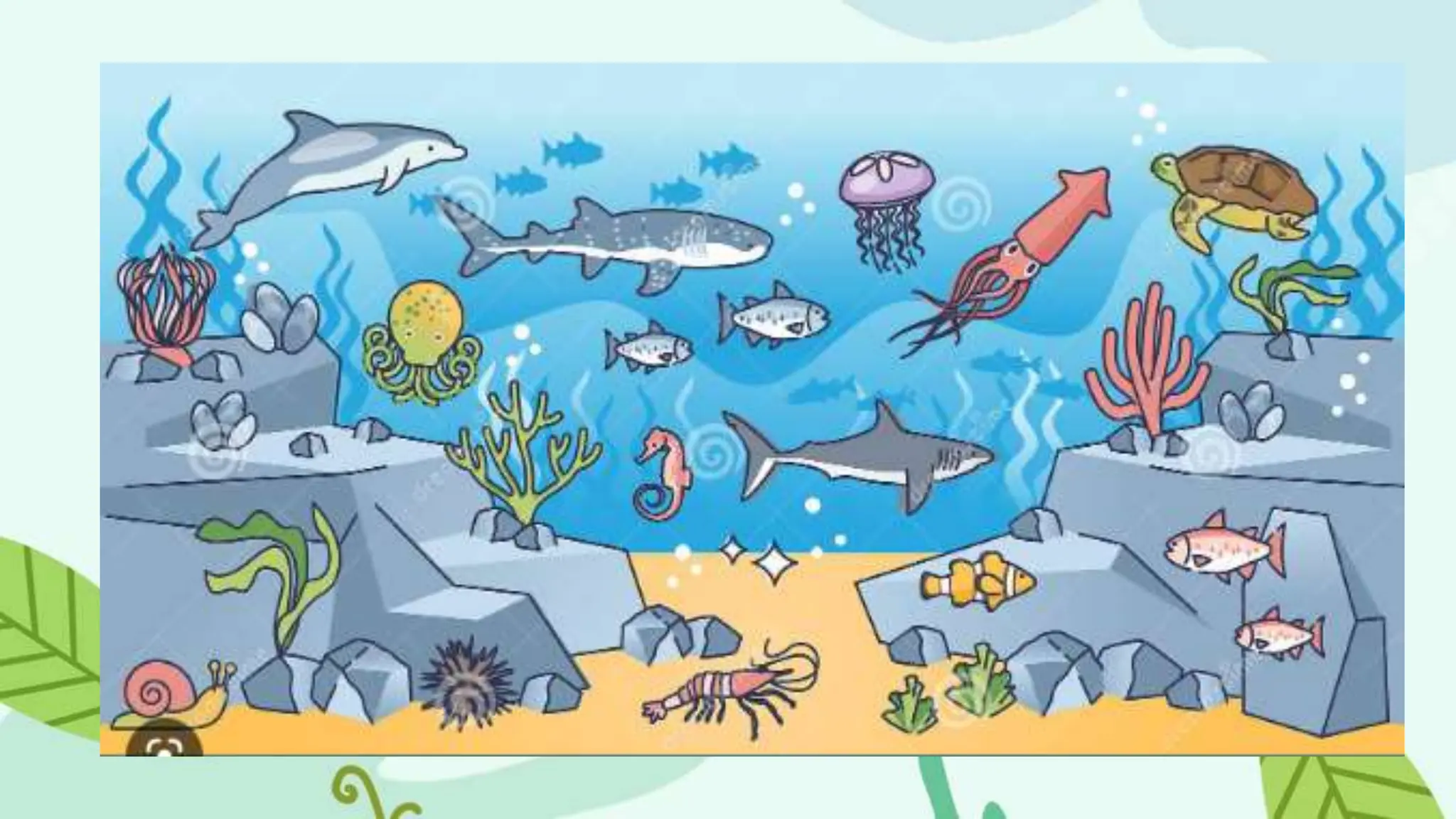 ECOSYSTEM - vocabulary and description.pptx