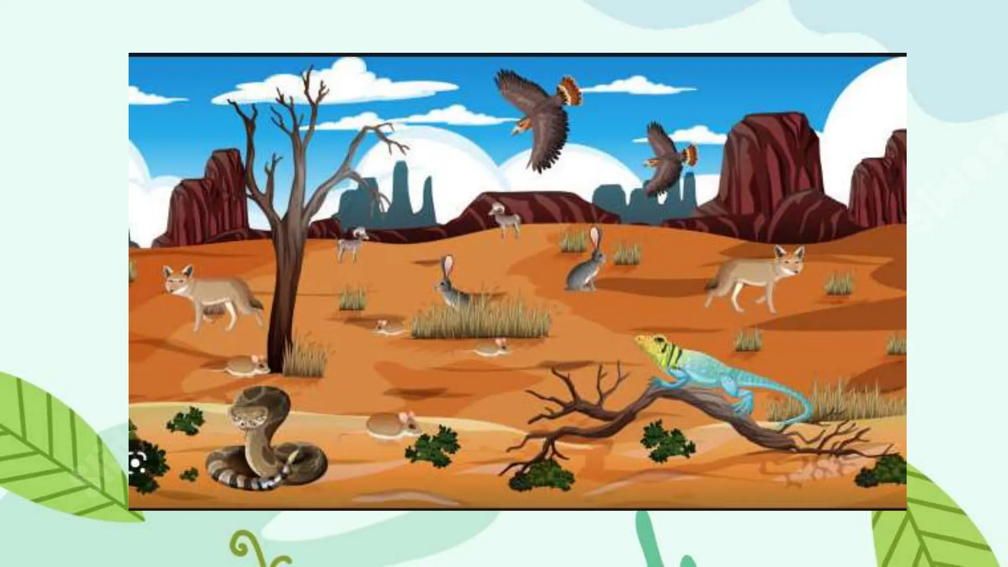 ECOSYSTEM - vocabulary and description.pptx