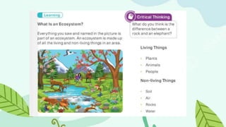 ECOSYSTEM - vocabulary and description.pptx