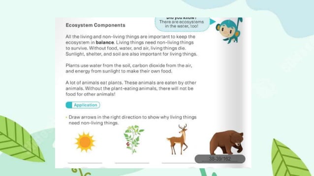 ECOSYSTEM - vocabulary and description.pptx