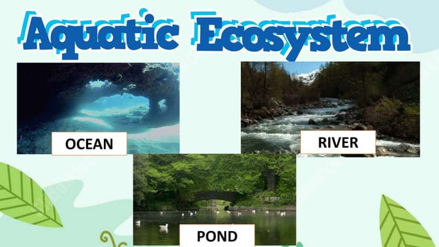 ECOSYSTEM - vocabulary and description.pptx