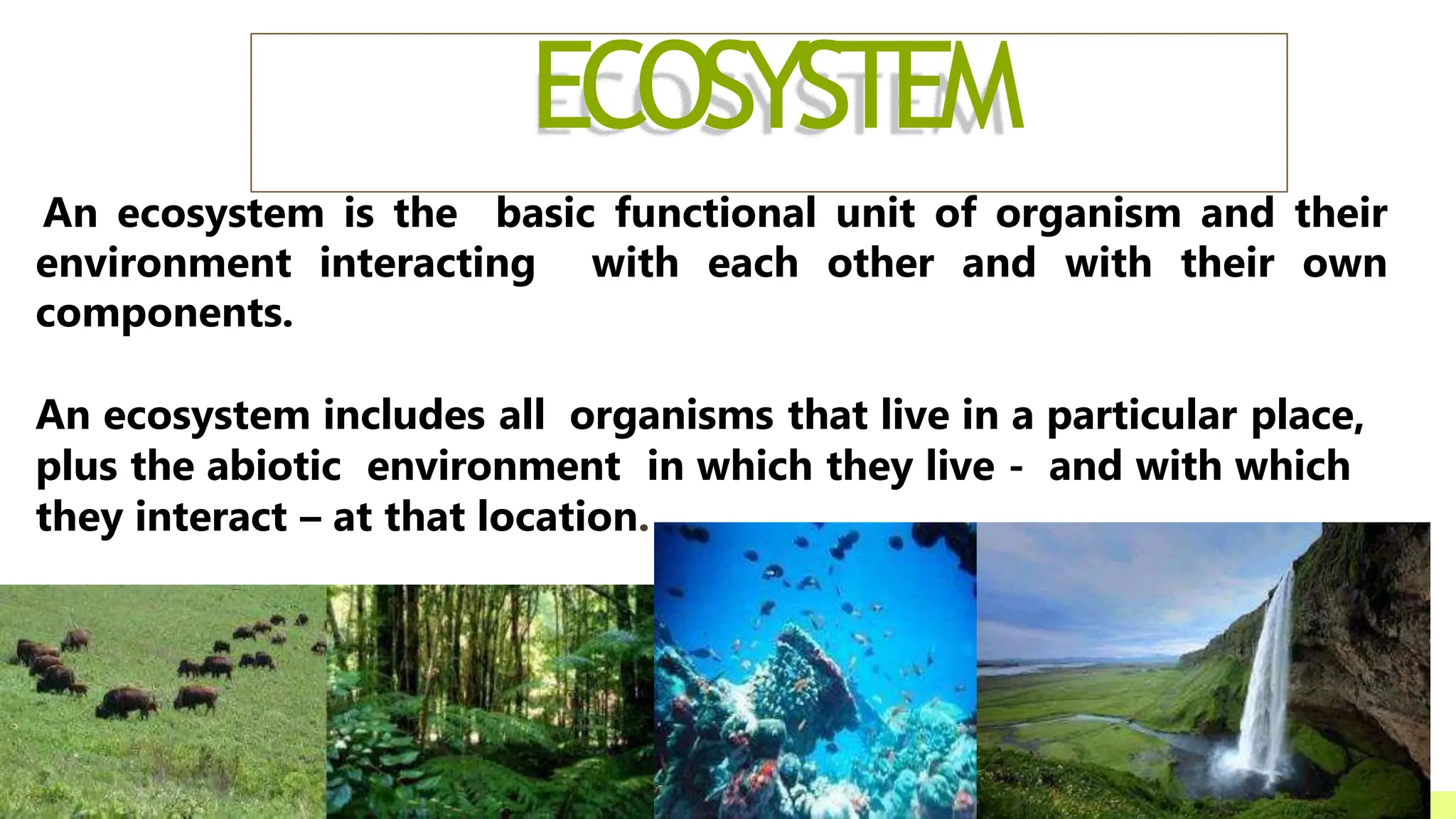ecosystem based on real live creatures and sorroundings | PPTX