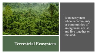 ECOSYSTEM.pptx0340343nonefre9i93i9ndjfnj | PPT