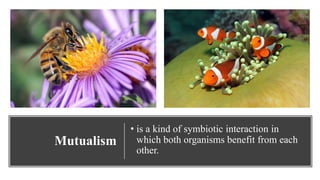 ECOSYSTEM.pptx0340343nonefre9i93i9ndjfnj | PPT